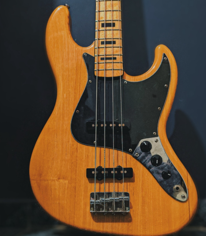 Premium Replacement Bass Bodies